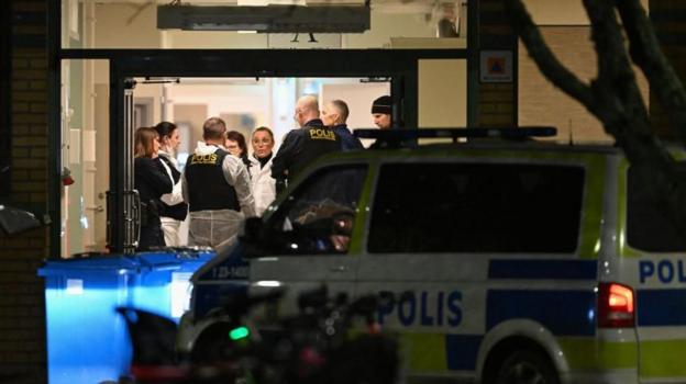 Sweden shooting: What do we know about the suspect? - BBC News