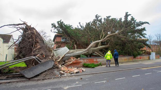 In pictures: Storm Darragh causes disruption across the UK - BBC News