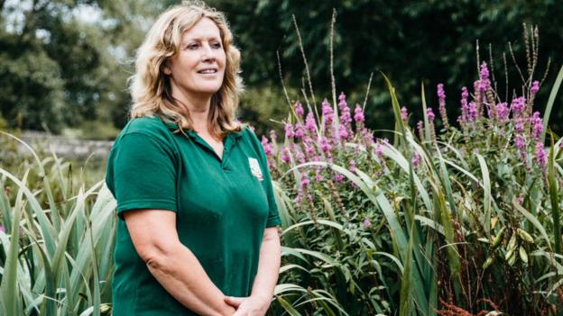 Care farm in Sherborne seeks support to cover funding gap - BBC News