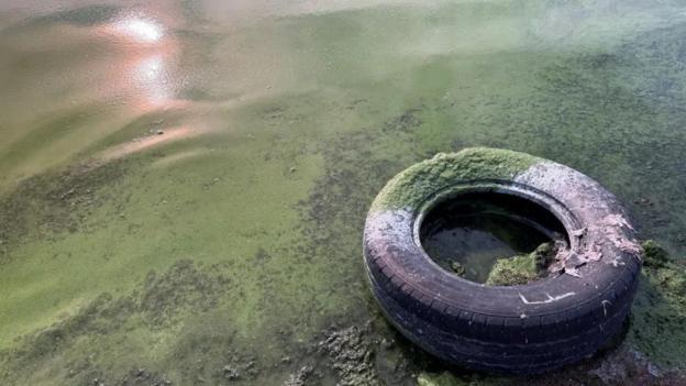 Executive ministers approve Lough Neagh action plan - BBC News
