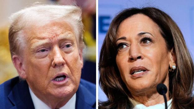 Trump ends Secret Service protection for Harris - BBC News