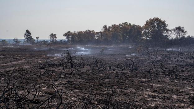 Fire service warning after huge blaze in Cannock Chase woodland - BBC News