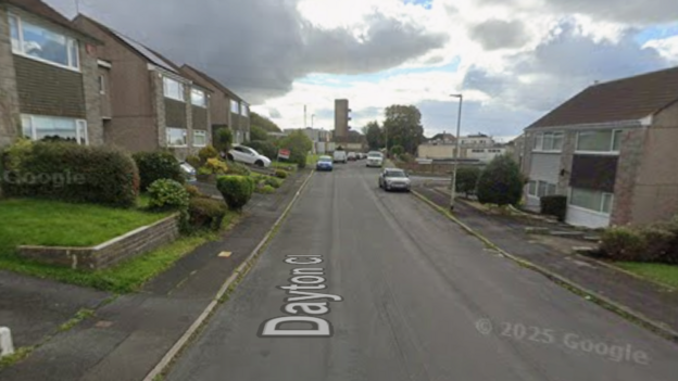Devon | Latest News & Updates | BBC News