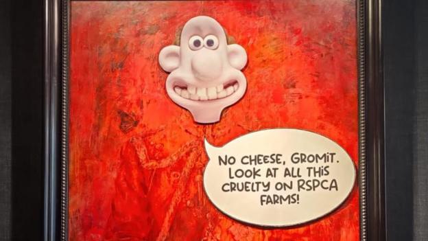 Farm welfare concerns leads to RSPCA Assured food label review - BBC News