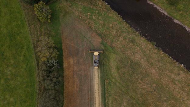 Water alert as River Deveron reaches lowest levels since 1970s - BBC News