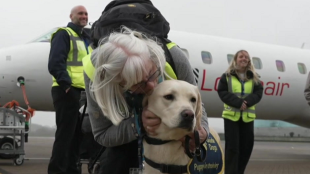 Southampton Airport hosts first guide dog training session - BBC News