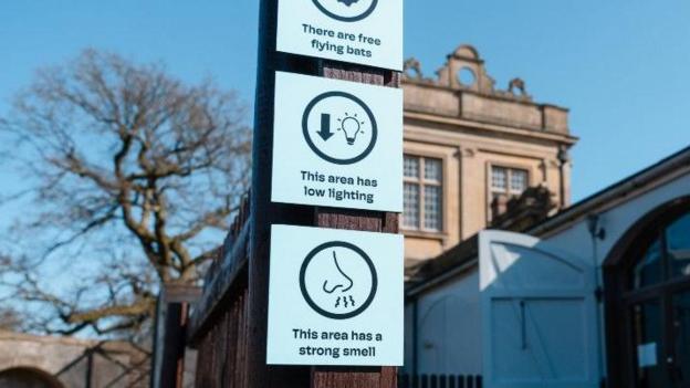 Longleat's 'strong smell', 'hot' and 'noisy' signs praised - BBC News