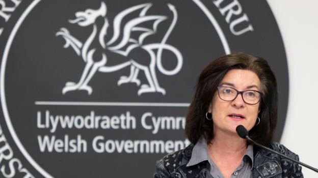 Horse massage firm warned after using Welsh government logo on fake ...