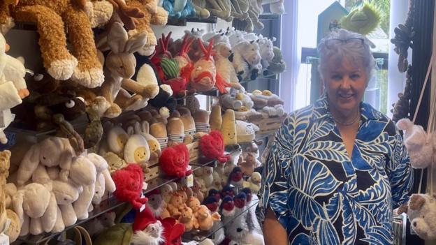 Bedford teen wins world record title for her Jellycat collection - BBC News