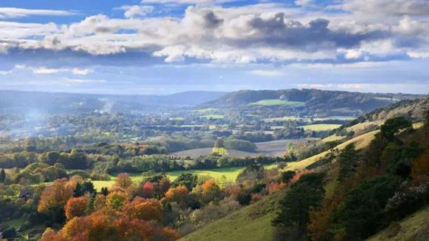 Surrey to be split in two in council reorganisation - BBC News