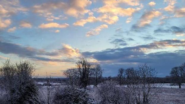 In pictures: Snow falls in parts of Surrey - BBC News