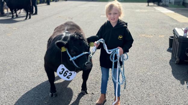 Balmoral Show 2025: Tickets, when, where and how to get there - BBC News