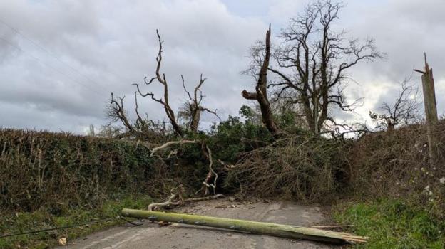 Wales sees thousands lose power after Storm Darragh winds - BBC News