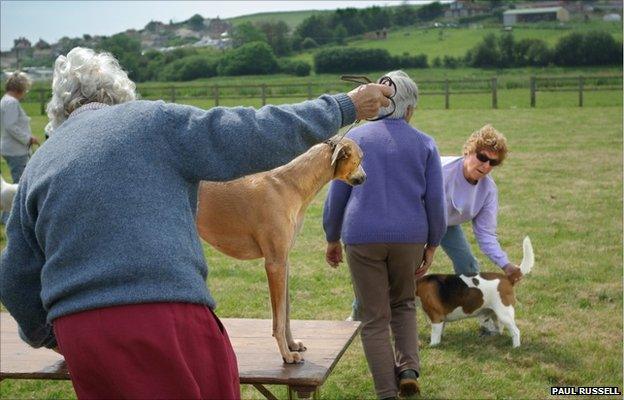 When man meets beast at a country show - BBC News