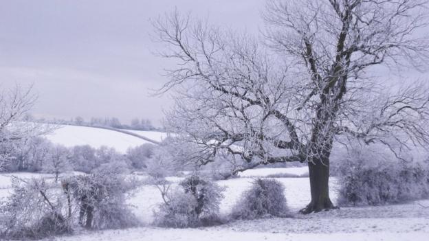 Your latest pictures of snow - BBC Weather