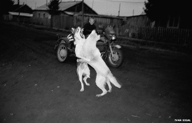 White Road by Ivan Sigal - BBC News