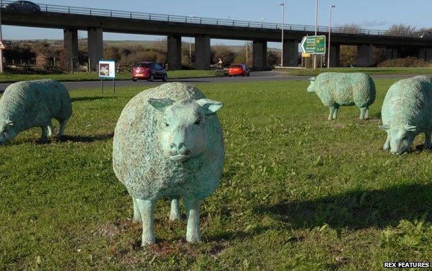 Sheep on roundabouts. Why? - BBC News