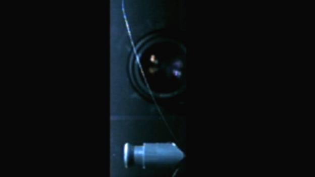 Limpet teeth set new strength record - BBC News