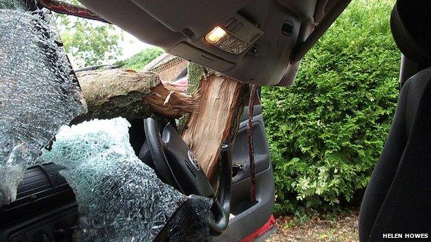 Women survive 'savage attack' from tree in Wolterton - BBC News