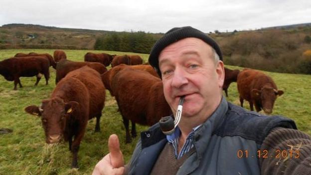 Geep: Rare 'goat-sheep' born on Irish farm - BBC News