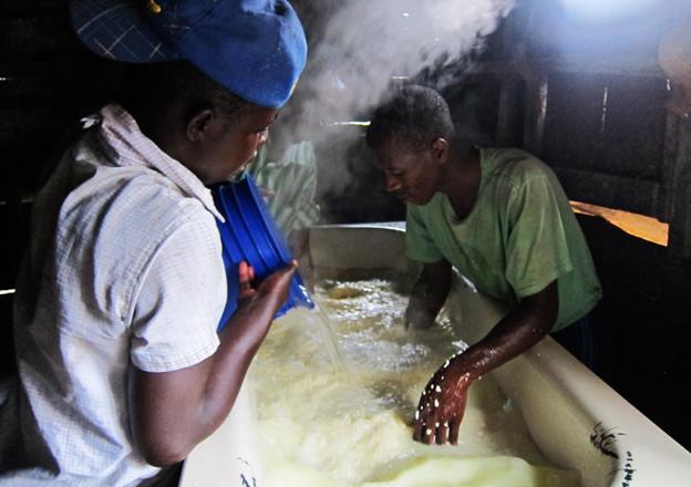 The rare art of cheese-making in DR Congo - BBC News