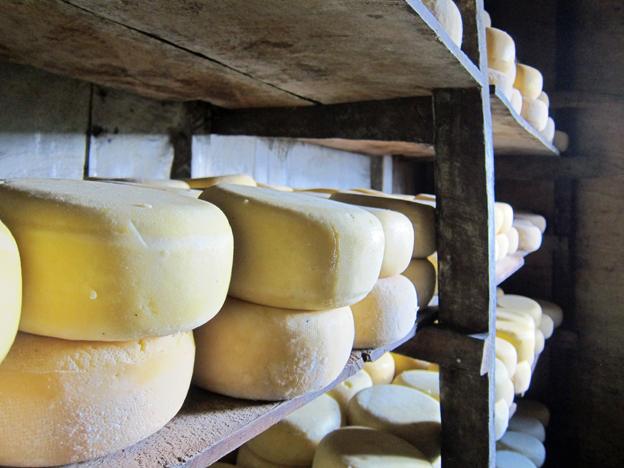 The rare art of cheese-making in DR Congo - BBC News