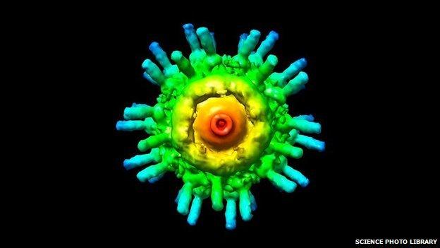 Tiny motors controlled inside human cell - BBC News