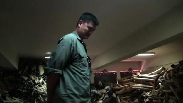 Jail for eaters of endangered wild animals in China - BBC News