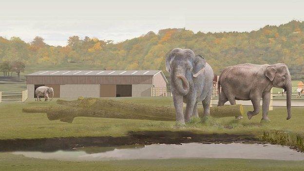 Anne the elephant new home plans criticised - BBC News