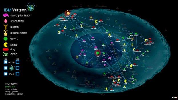 IBM's supercomputer Watson to help fight brain cancer - BBC News