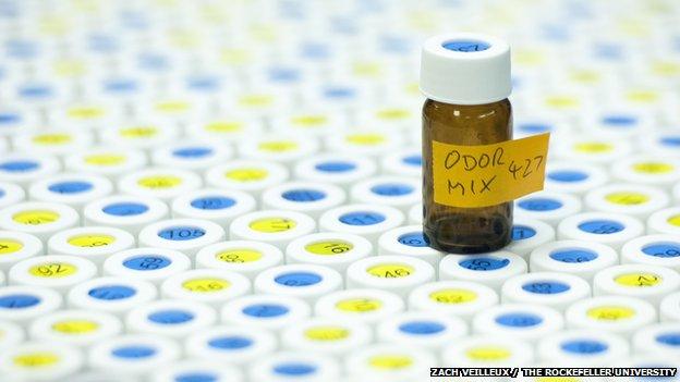 Nose can detect one trillion odours - BBC News