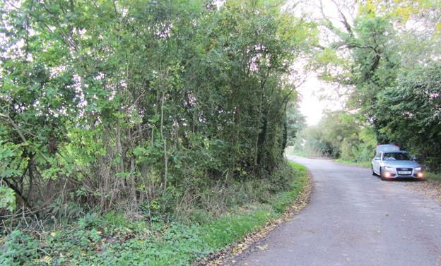 The curious tale of the economist and the Cezanne in the hedge - BBC News