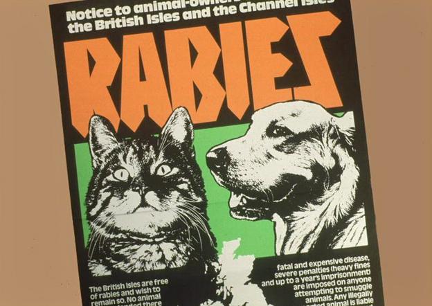 Rabies and other early Channel Tunnel predictions - BBC News