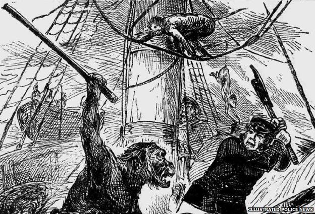 Victorian Strangeness: The ship taken over by animals - BBC News