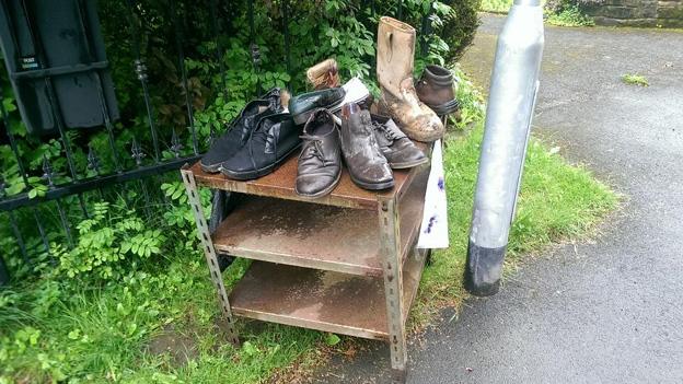 Fox behind Leeds footwear theft crimewave - BBC News