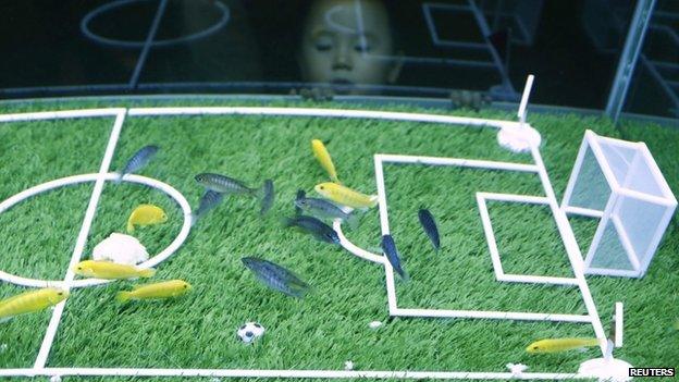 Caption Challenge: Liquid football - BBC News