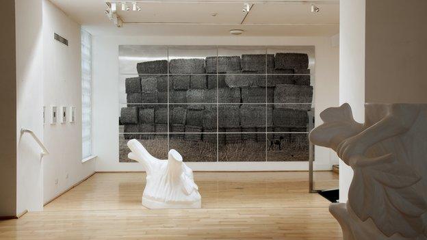 Venice Biennale art show: Helen Sear to represent Wales - BBC News