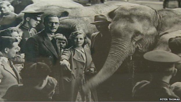 Fears over 60,000 photo archive of Exeter history - BBC News