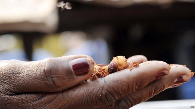 Africa in pictures: 18-24 July 2014 - BBC News