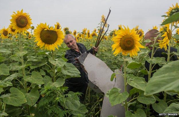 The memory of hell among the sunflowers - BBC News