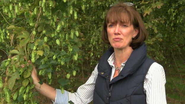 Thirst for US craft beers boosts demand for British hops - BBC News