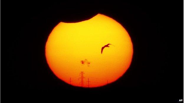 North America experiences partial eclipse - BBC News