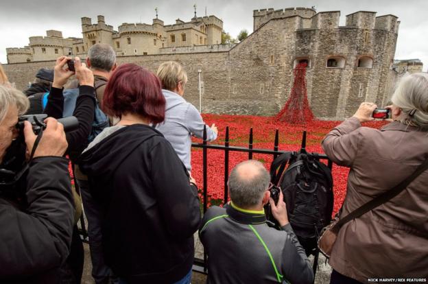 In pictures: The poppies at the Tower of London - BBC News