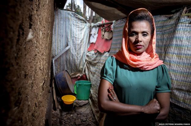 In pictures: My toilet - BBC News