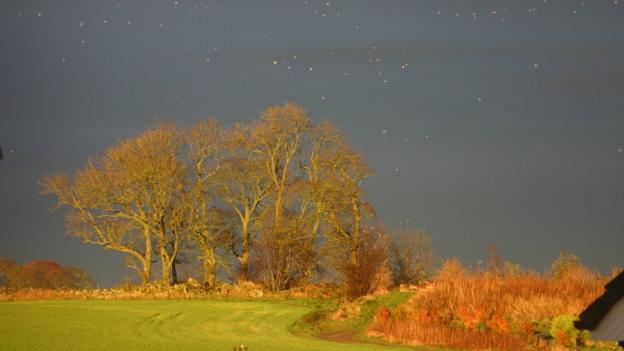 Your pictures of Scotland: 7 - 14 November - BBC News