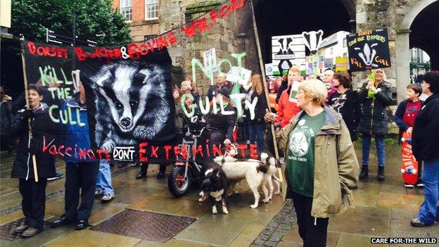 Chris Packham joins badger cull protest in Winchester - BBC News