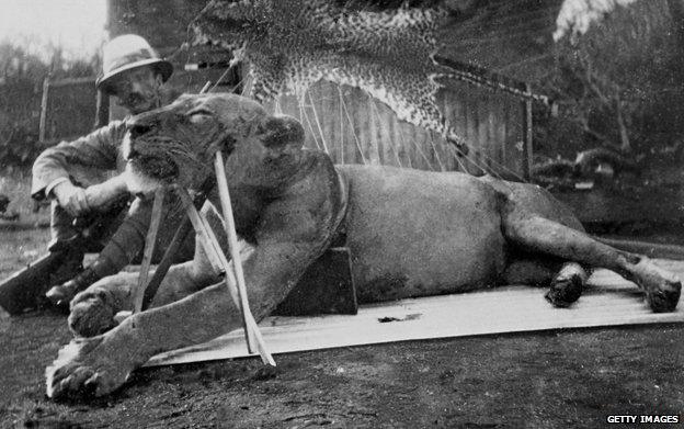 The lion-killer who became an Israeli hero - BBC News