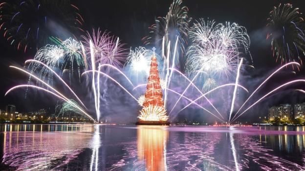 UK's tallest living Christmas tree gets decorated - BBC Newsround