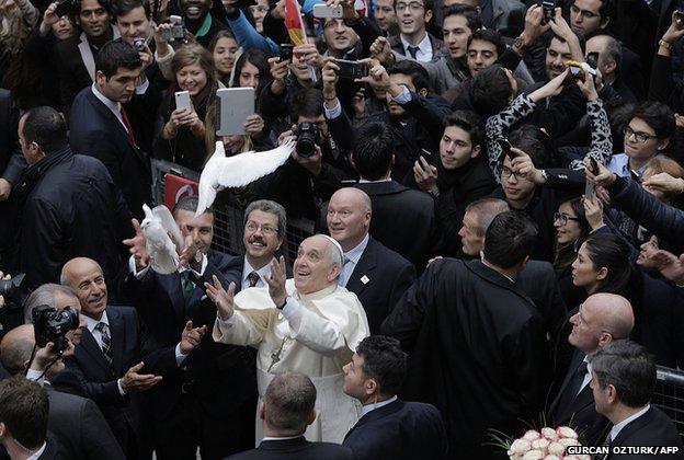 Picture power: When doves fly - BBC News