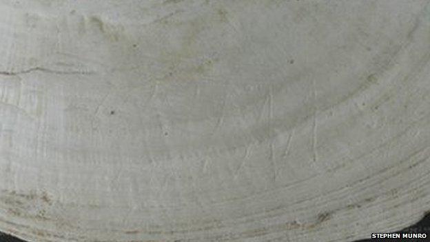 Indonesian shell has 'earliest human engraving' - BBC News